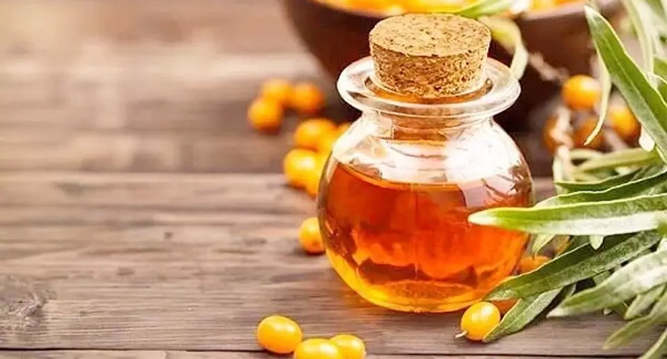 Nó là tự nhiên: Điều gì hữu ích để đối mặt với dầu Buckthorn biển và làm thế nào để áp dụng nó một cách chính xác?