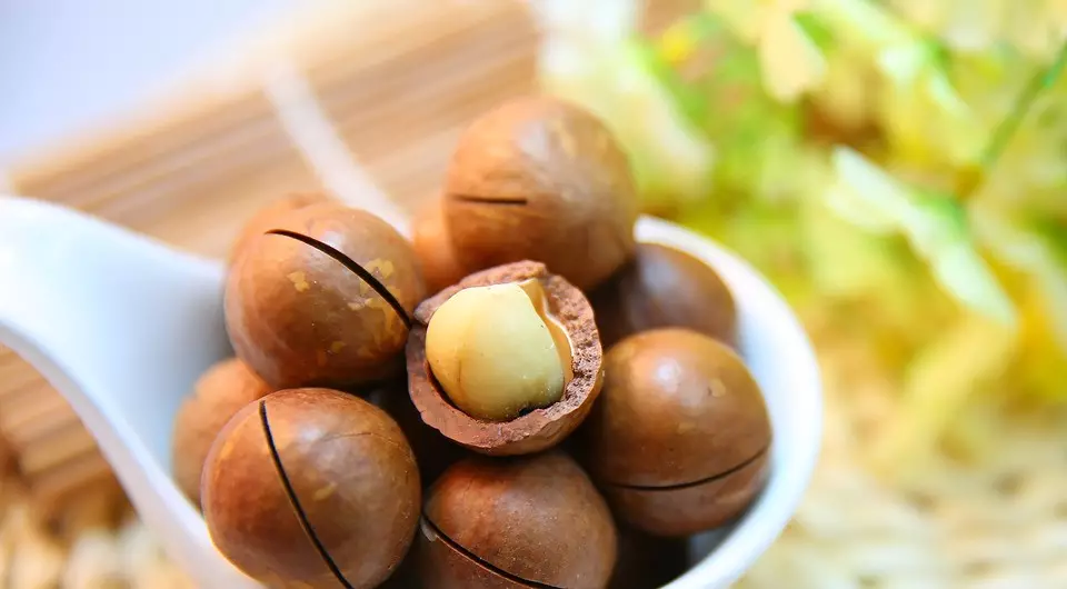 Makadamia Walnut: مزایا و آسیب برای بدن