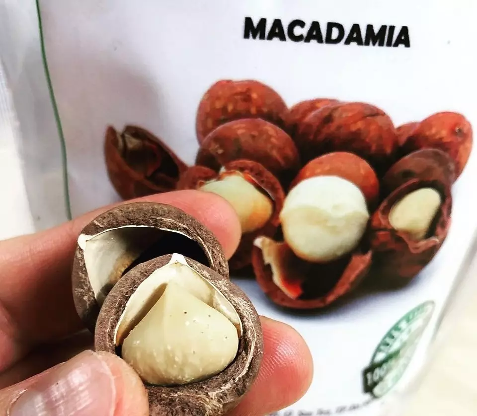 Makadamia Walnut: Mupangat lan gawe piala kanggo awak