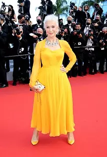 Bella Hadid, Marion Cotiyar, Karl Bruni and others shine on the Red Carpet of the Cannes Film Festival 78305_8