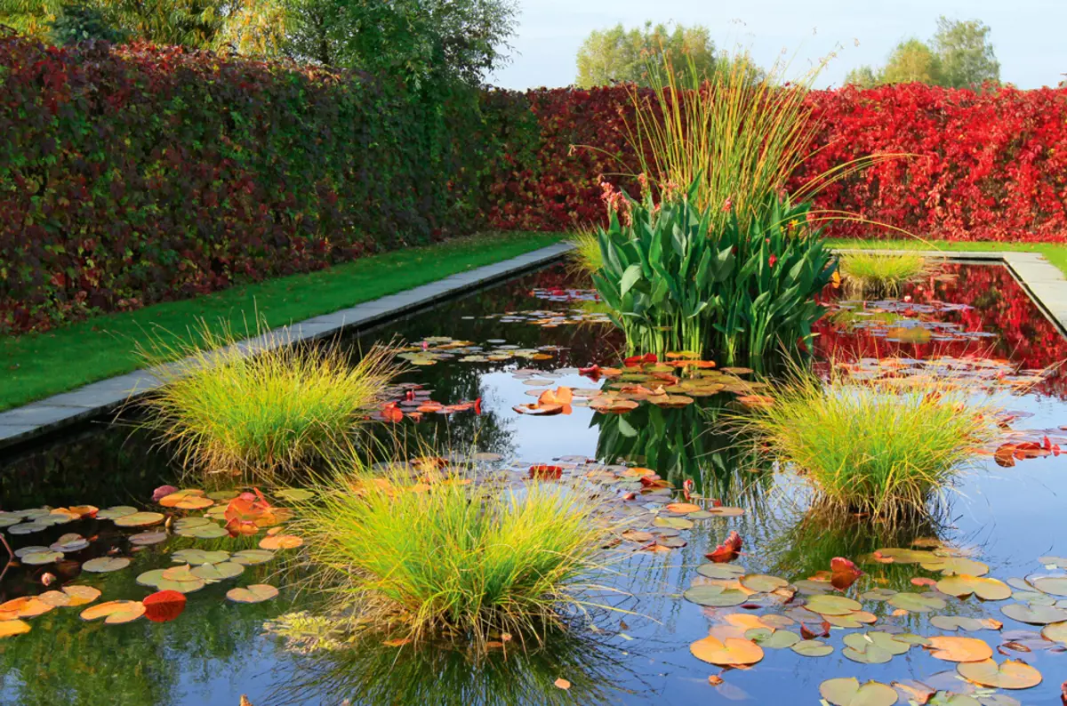 20 most beautiful European gardens (photo)